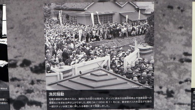 Minamata Disease: Japan's painful lesson to protect nature ...
