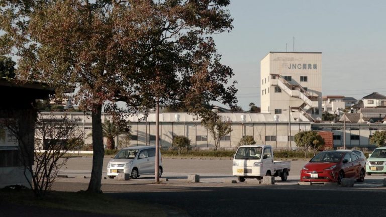 Minamata Disease: Japan's painful lesson to protect nature ...