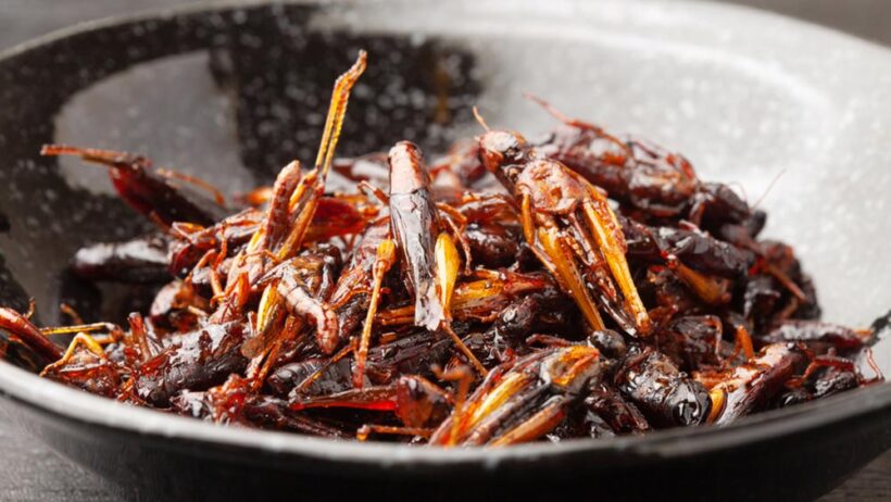 Japan’s insect-eating tradition gets a modern makeover | Sustainability ...