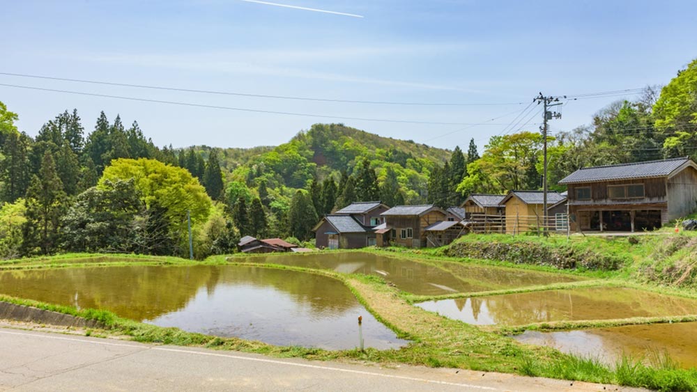 What is the Satoyama Initiative? | Sustainability from Japan - Zenbird